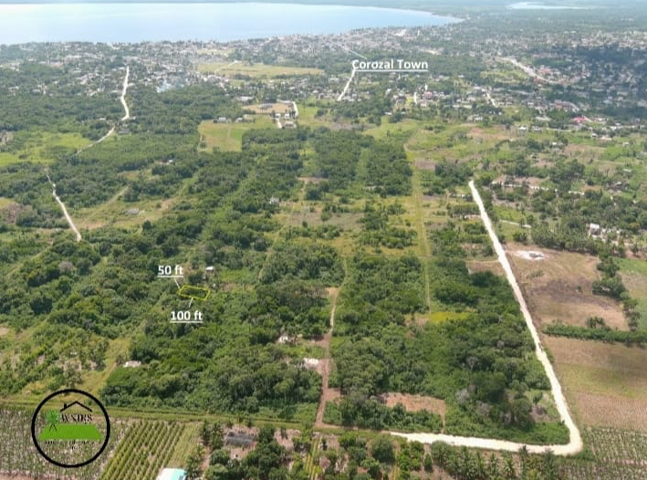 464.425 square meters of land situated in the Corozal North ...